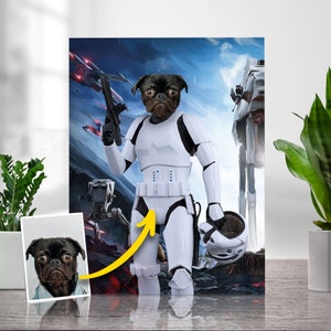 Custom Star Wars Stormtrooper Pet Portrait | Custom Stormtrooper ...