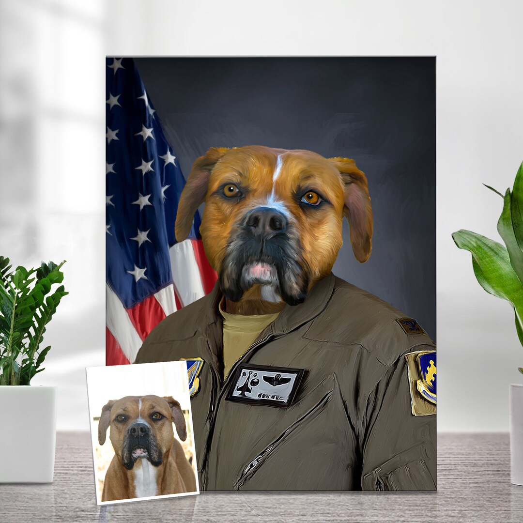 US Air Force Portrait, Custom Dog, Space Cat, Personalised Art, Pet ...
