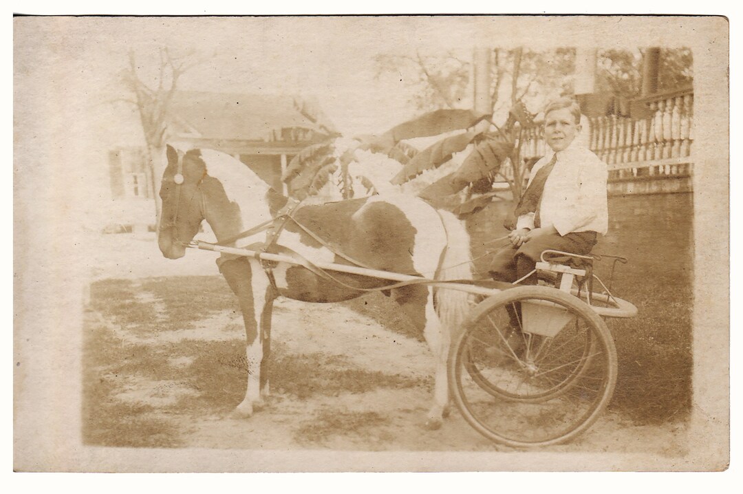 Vintage Real Photo Postcard (RPPC) of Boy With Pony and Sulky C. 1910 ...