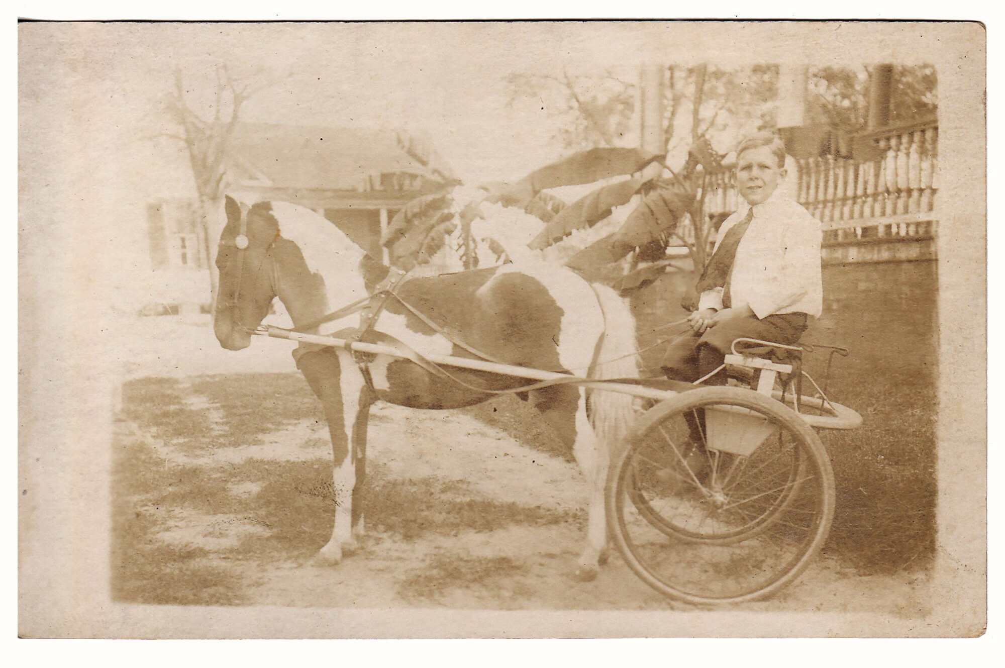 Vintage Real Photo Postcard (RPPC) of Boy With Pony and Sulky C. 1910 ...