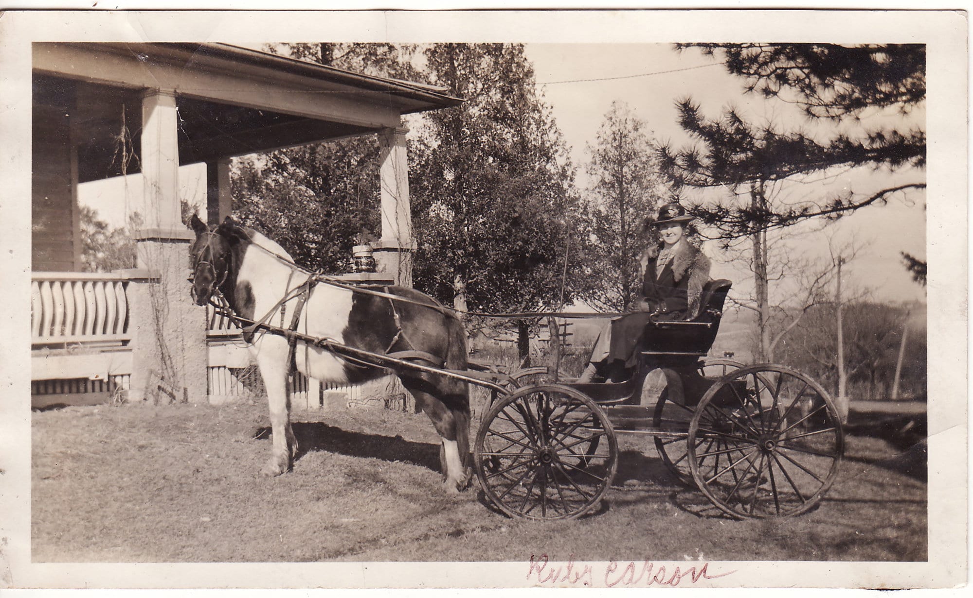 Antique Photo of Woman Driving Horse-drawn Carriage, C. 1920s - Etsy
