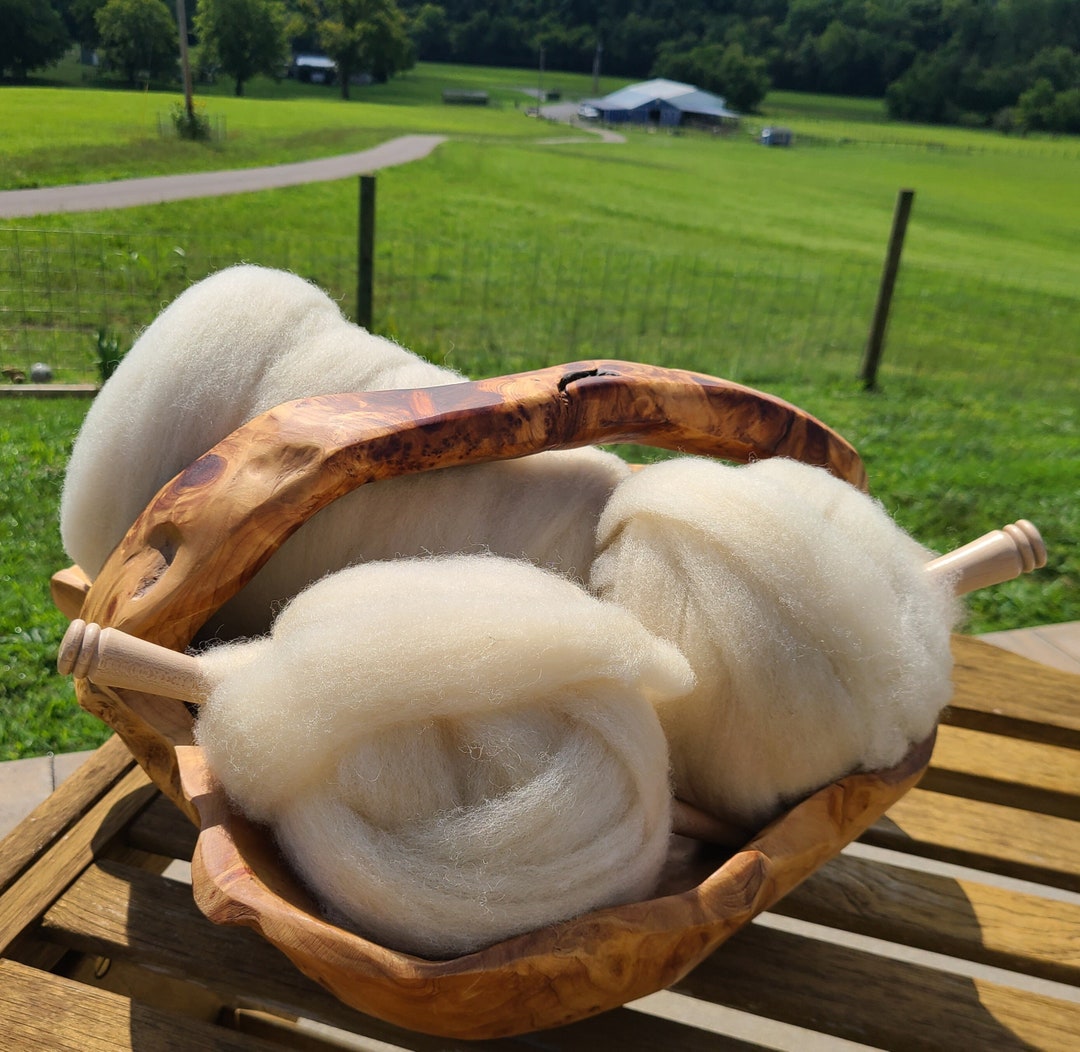Gulf Coast Native Wool Roving 4oz SE2SE - Etsy