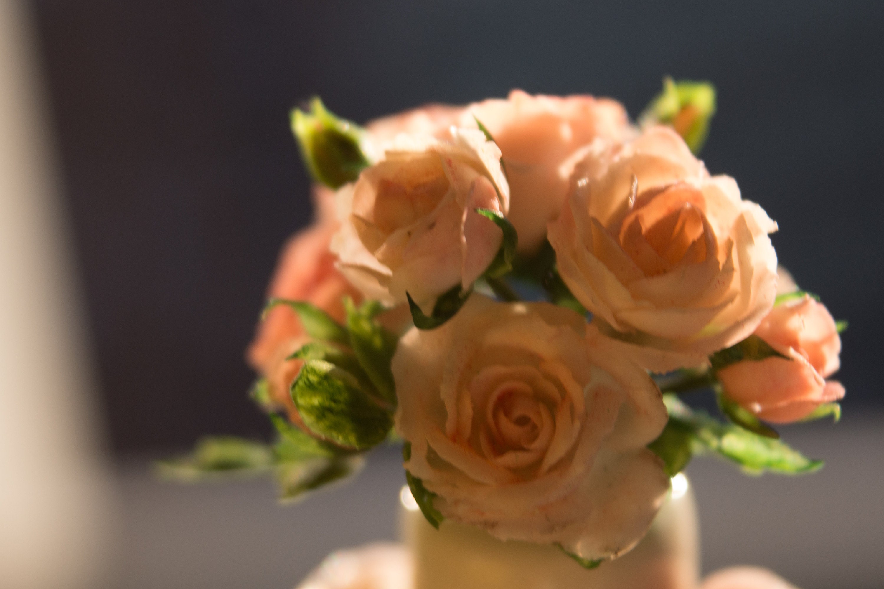 Classic Roses Miniatures - Etsy