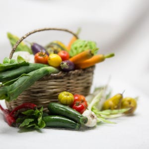 Miniature Vegetables - Etsy