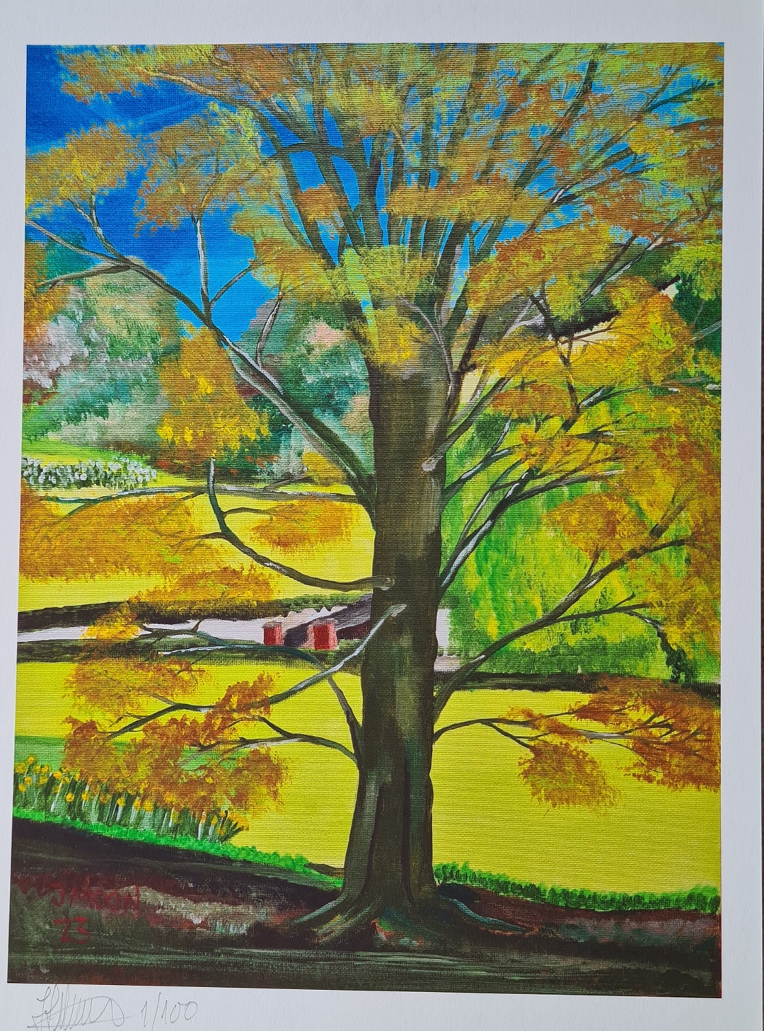 Spring Tree limited Edition Print - Etsy