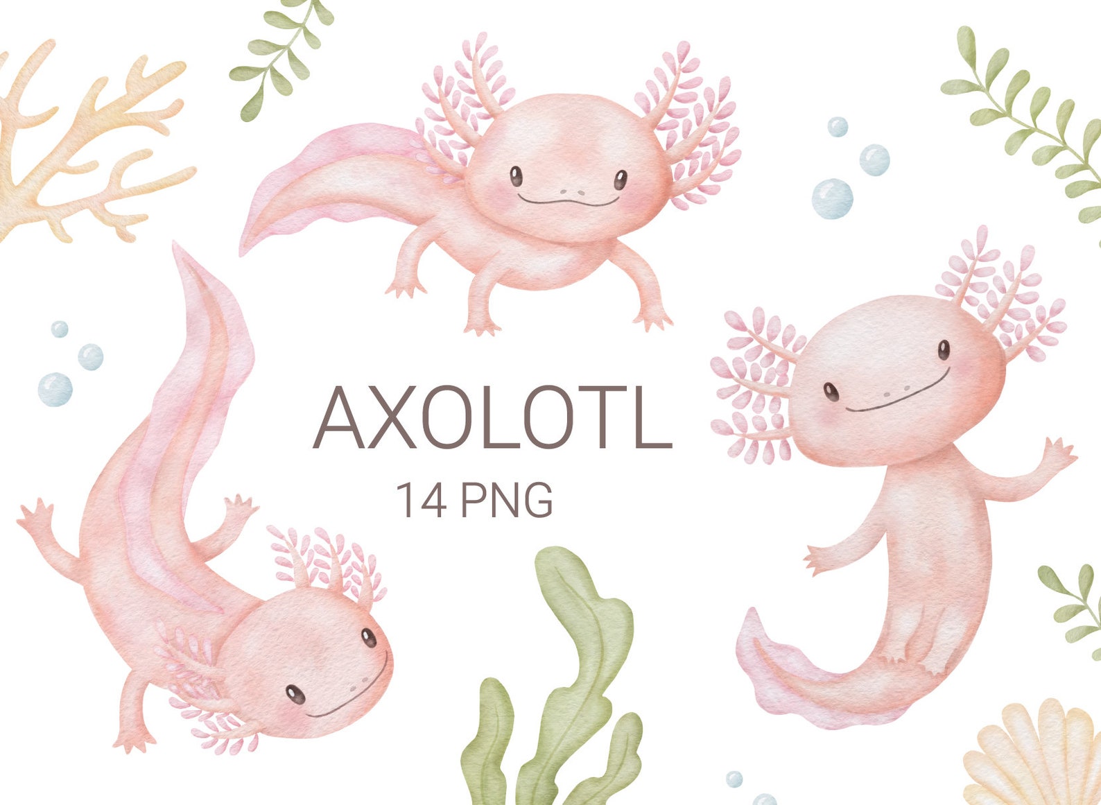 Watercolor Axolotl Clipart, Nursery Decor for Boys and Girls, Baby Wall ...