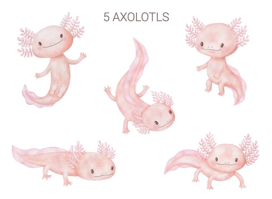 Watercolor Axolotl Clipart, Nursery Decor for Boys and Girls, Baby Wall ...