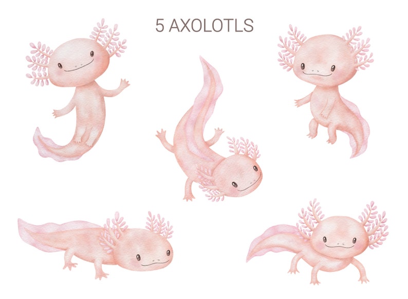 Watercolor Axolotl Clipart, Nursery Decor for Boys and Girls, Baby Wall ...