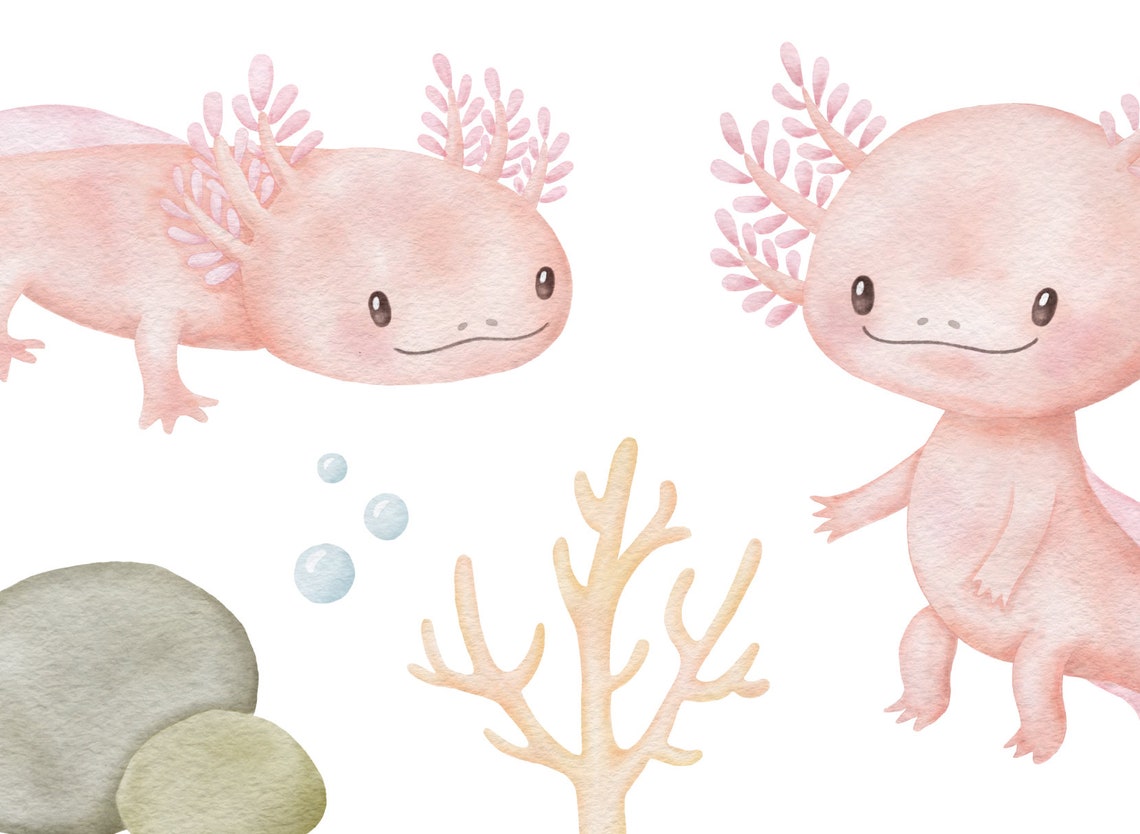 Watercolor Axolotl Clipart, Nursery Decor for Boys and Girls, Baby Wall ...