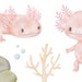 Watercolor Axolotl Clipart, Nursery Decor for Boys and Girls, Baby Wall ...
