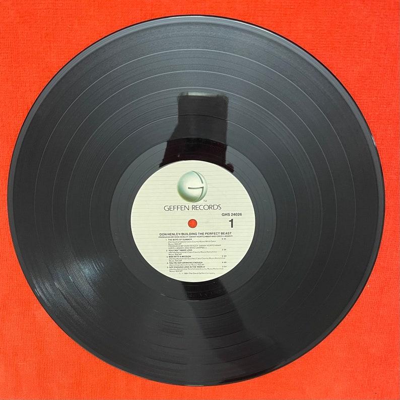 Don Henley Building the Perfect Beast Vinyl Record - Etsy