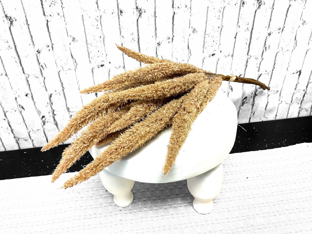 Brown Flocked Foxtail Grass Bundle X3, 24” - Etsy