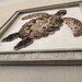 Sea Turtle Shell Art Mosaic - Etsy