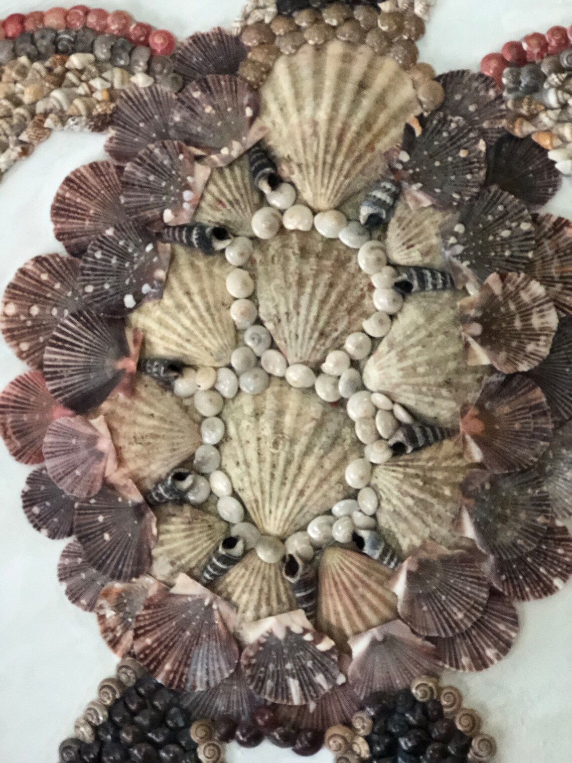 Sea Turtle Shell Art Mosaic - Etsy