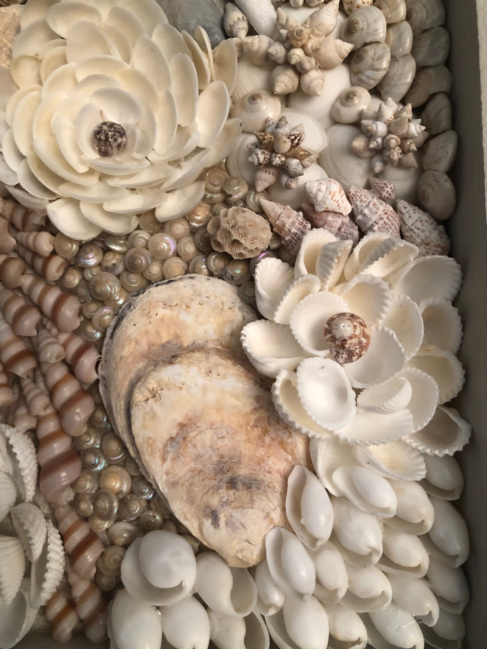 Shell Mosaic - Etsy