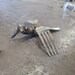 Welded Metal Hummingbird - Etsy