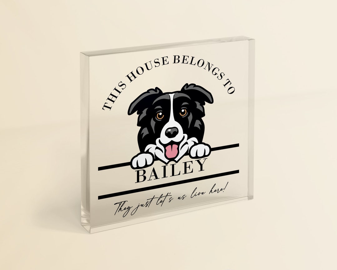 Border Collie Owner Gift | 'this House Belongs to the Dog' Personalised ...