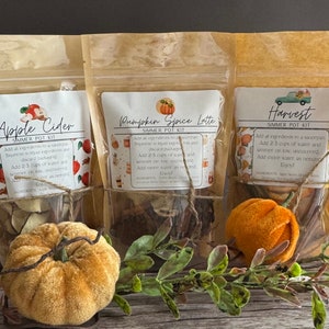 Fall Simmer Pot Kits - Stovetop Potpourri - Dried Fruits, Spices - Etsy