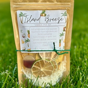 Summer Collection Simmer Pot Kits - Stovetop Potpourri - Dried Fruits ...