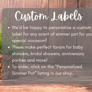 Summer Collection Simmer Pot Kits - Stovetop Potpourri - Dried Fruits ...