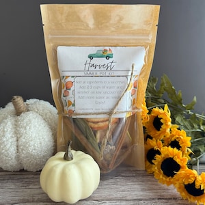 Fall Simmer Pot Kits - Stovetop Potpourri - Dried Fruits, Spices - Etsy