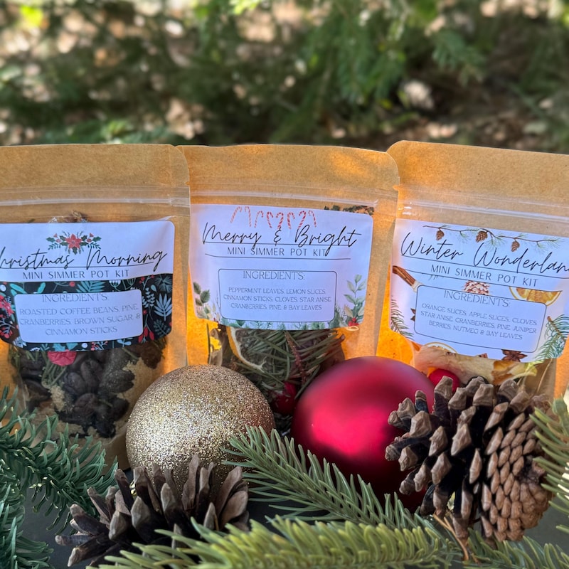Mini Simmer Pot Christmas - Etsy