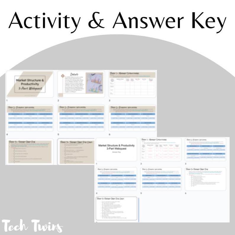 Market Structure & Productivity 3-part Webquest - Etsy