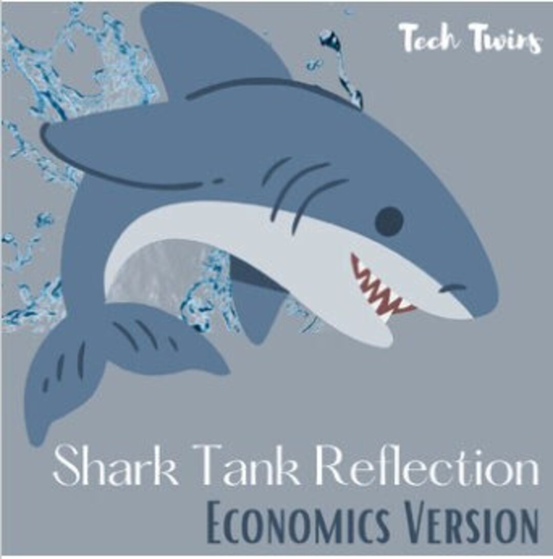 Shark Tank Reflection- Economics Version - Etsy