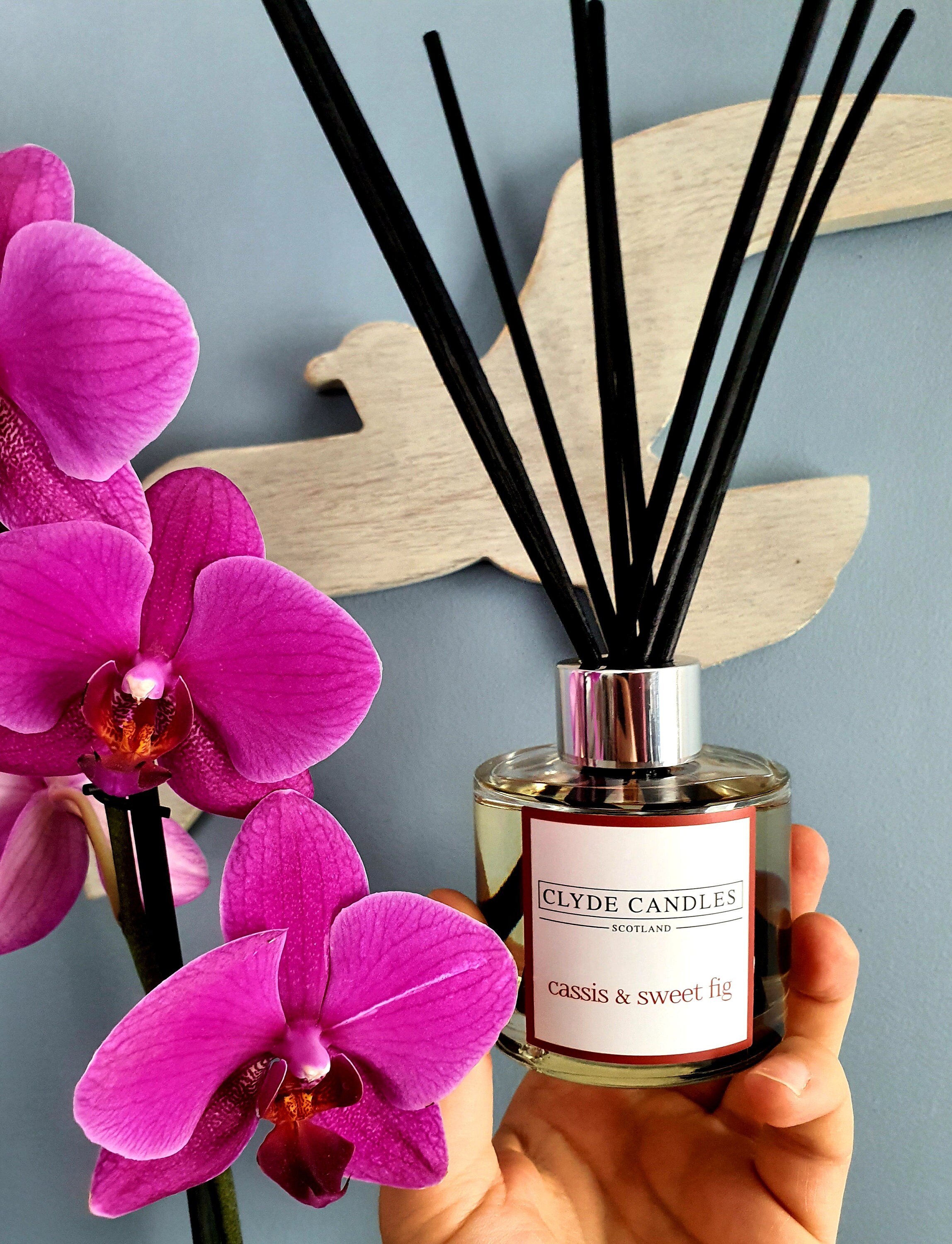 Cassis & Sweet Fig Reed Diffuser Clyde Candles, Luxury Diffuser Oil ...