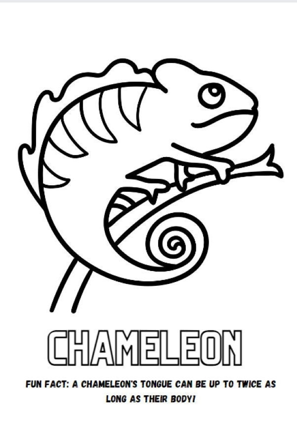 Toddler Coloring Pages: Animal Coloring Pages for Kids With Fun Facts ...