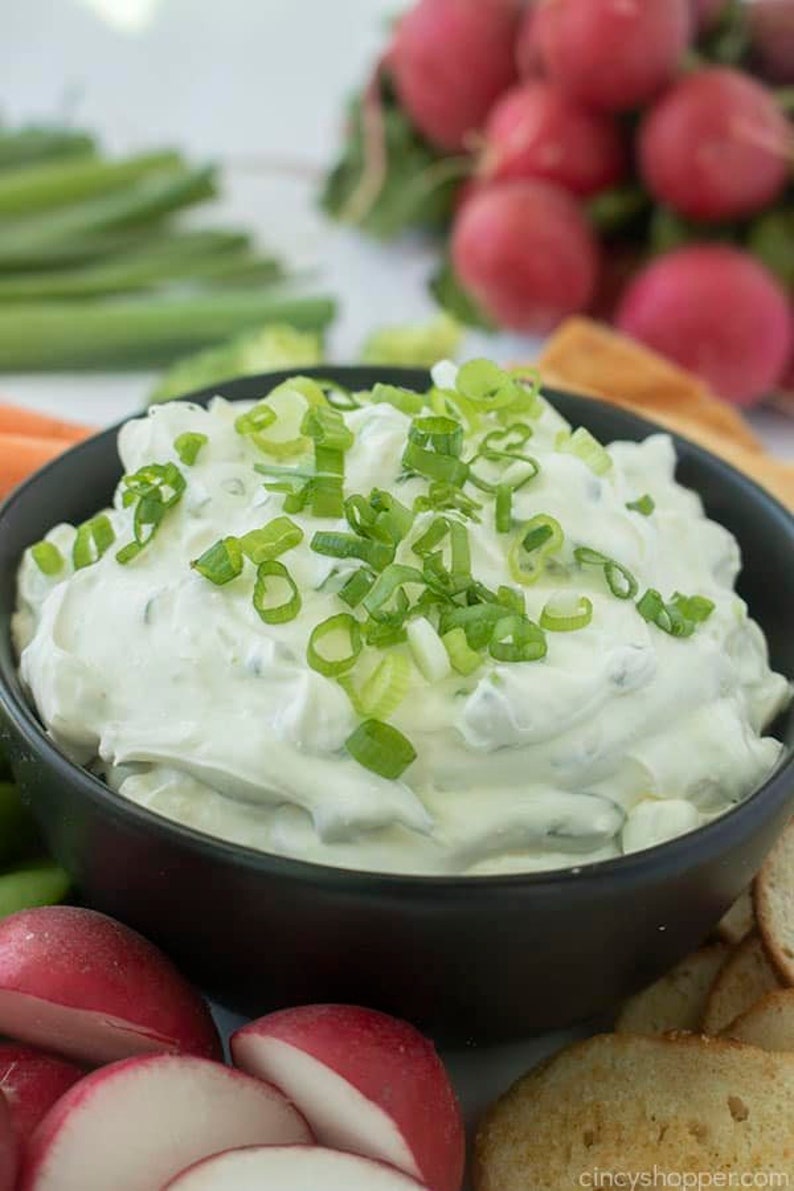 Onion N Chive Dip Mix - Etsy