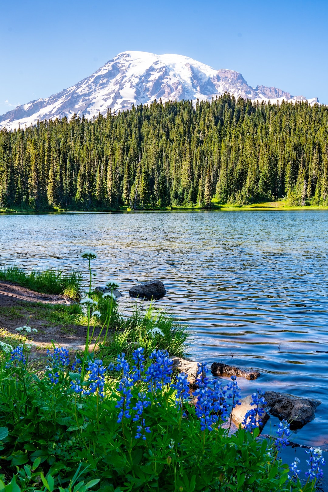 Mount Rainier National Park Reflection Lake Print Digital Download - Etsy