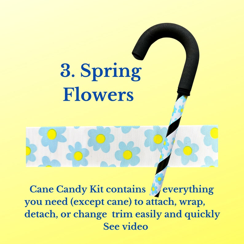 Unique Pattern Cane Decor; Walking Cane Pattern Decor; Walking Cane ...