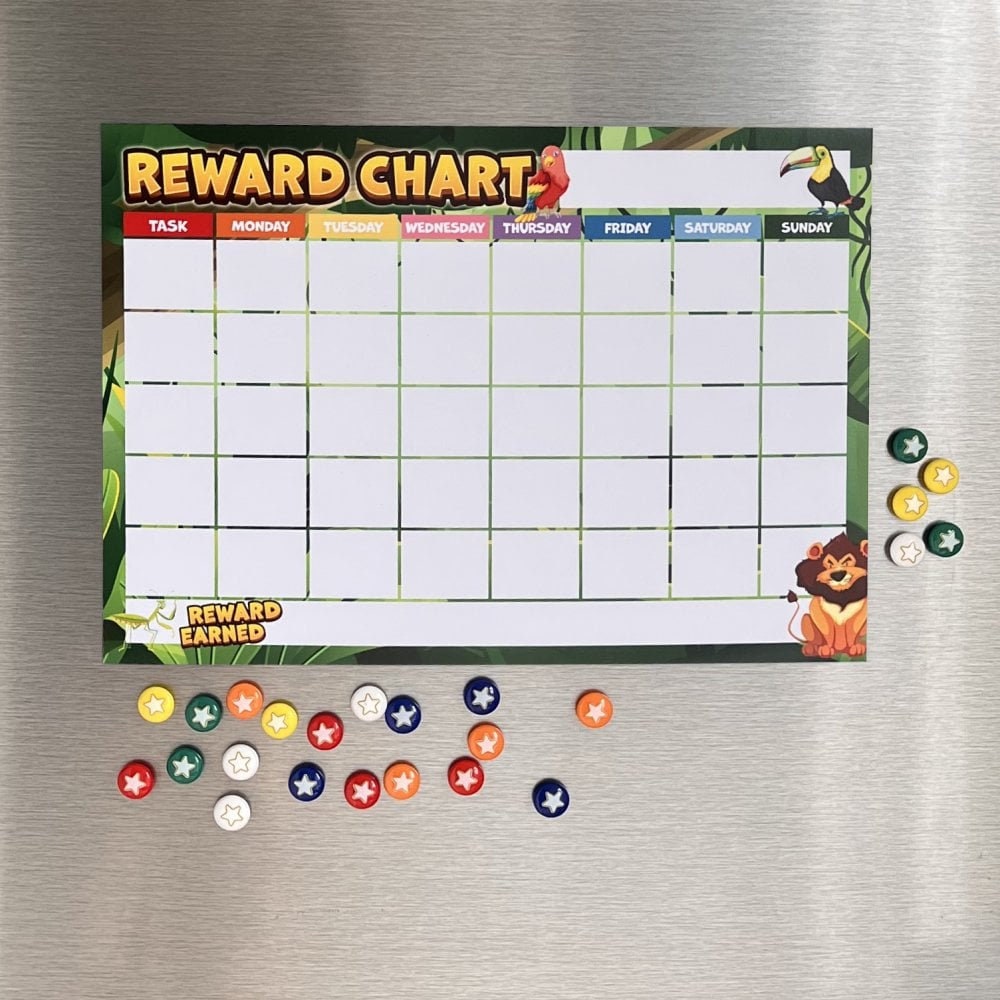 Magnetic Reward Chart for Children, Kids, Toddlers With Colourful Star ...