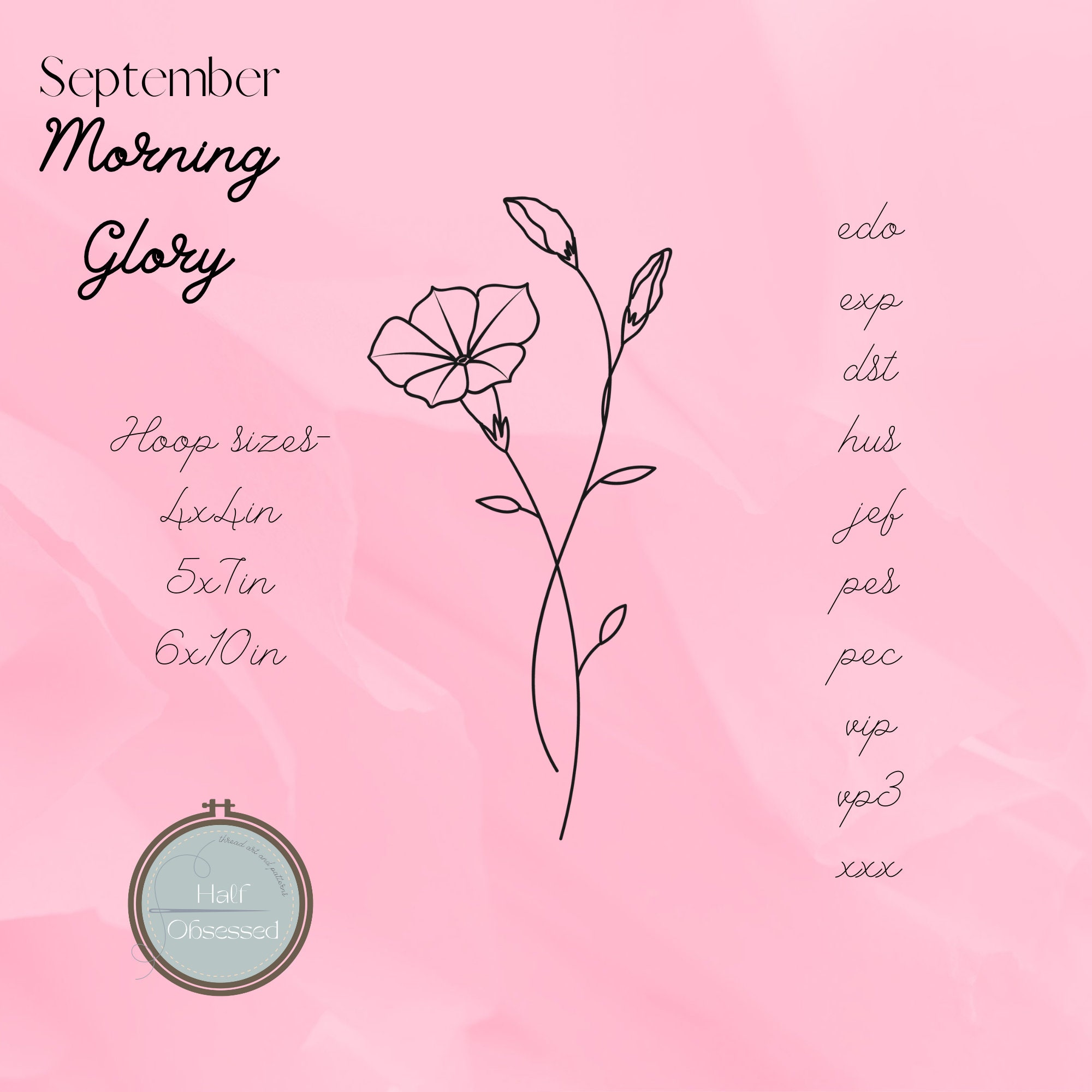 Morning Glory Machine Embroidery File September Birth Month - Etsy