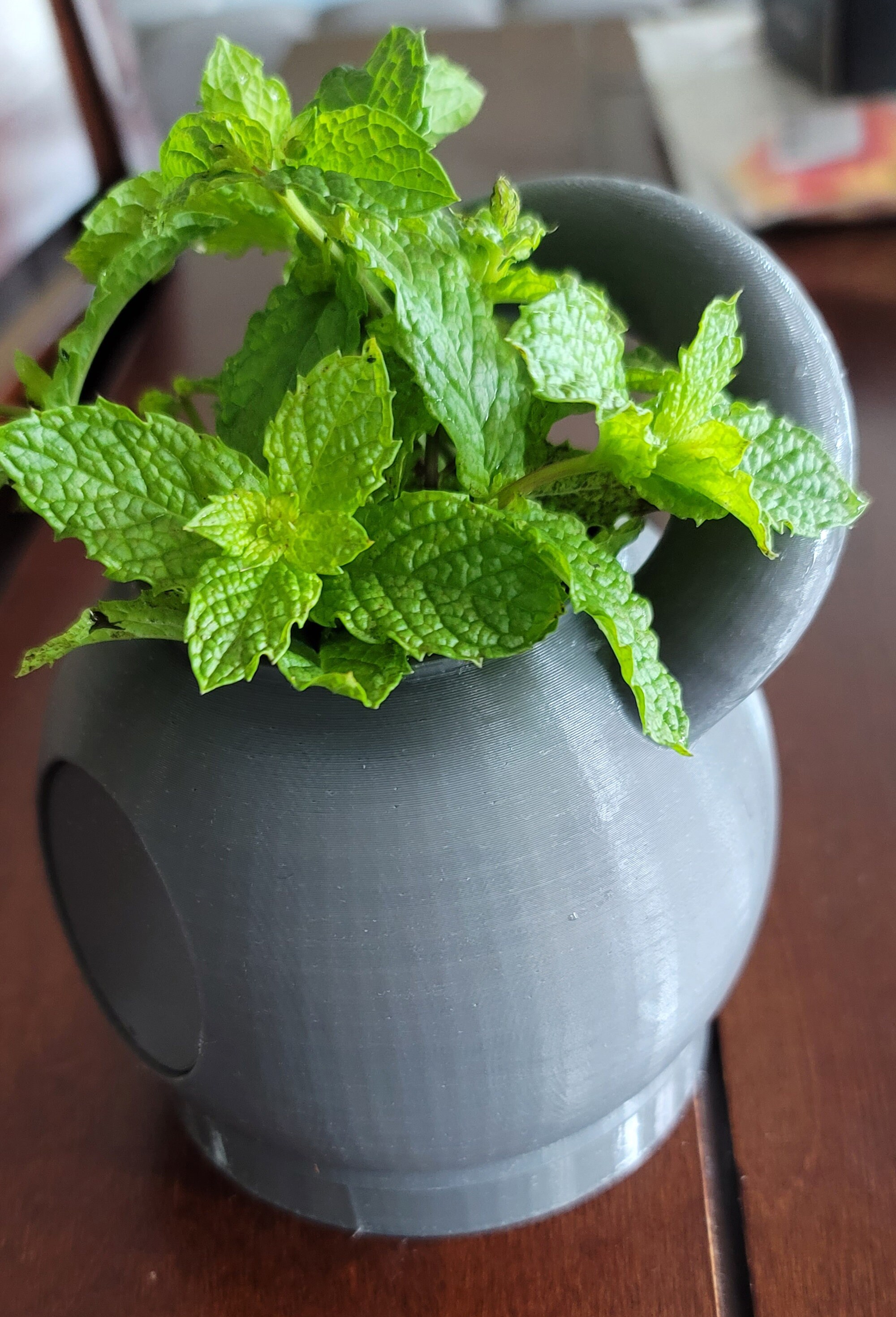 Kettlebell Planter: 4 Inch 3D Printed Personalized Plant Pot - Etsy