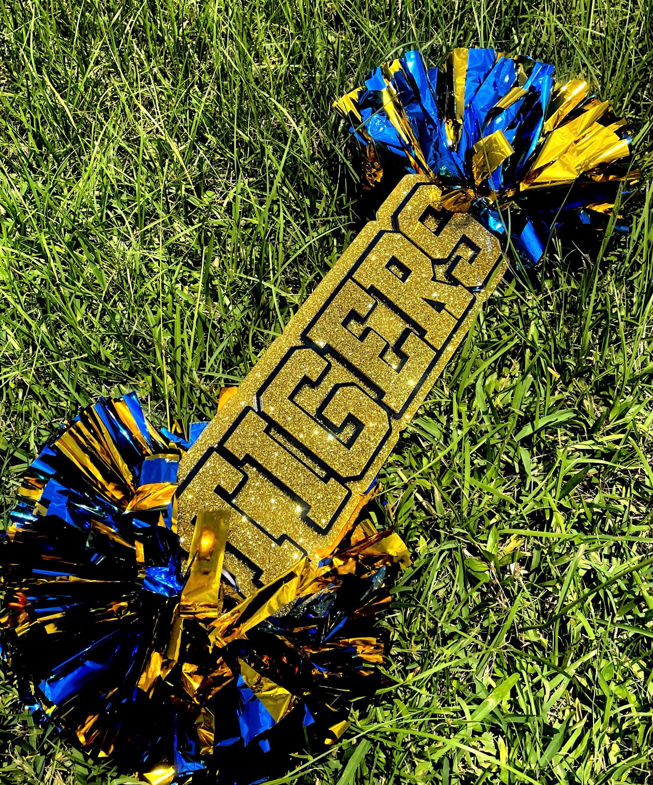 Personalized Cheer Sign: Custom Acrylic Cheer Stick With Pom Poms - Etsy