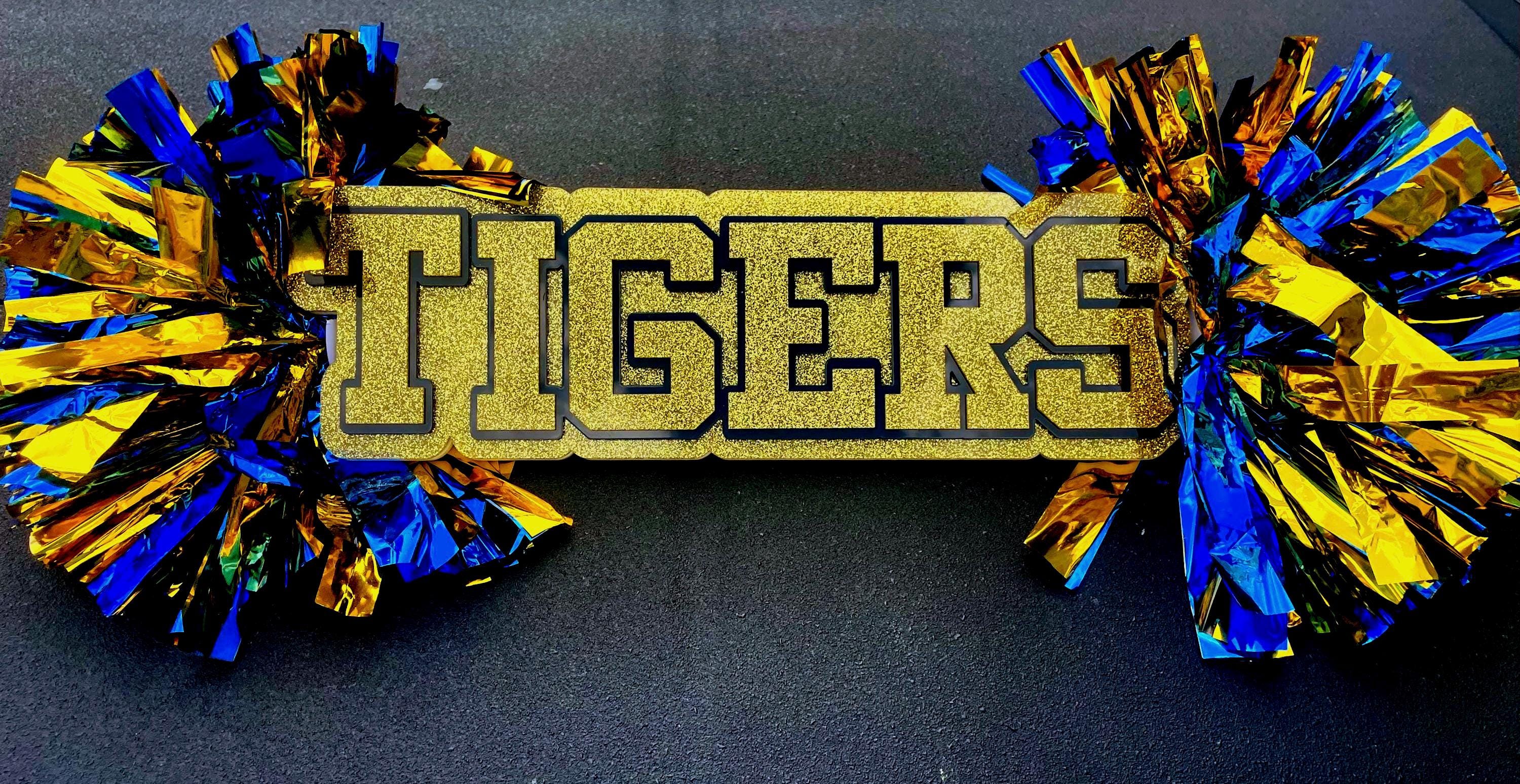 Personalized Cheer Sign: Custom Acrylic Cheer Stick With Pom Poms - Etsy