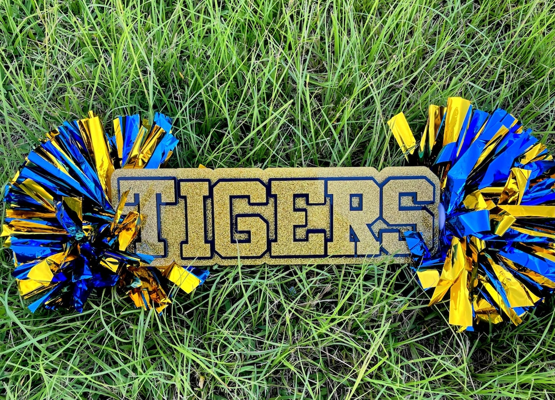 Personalized Cheer Stick With Custom Name, Spirit Squad Accessories ...