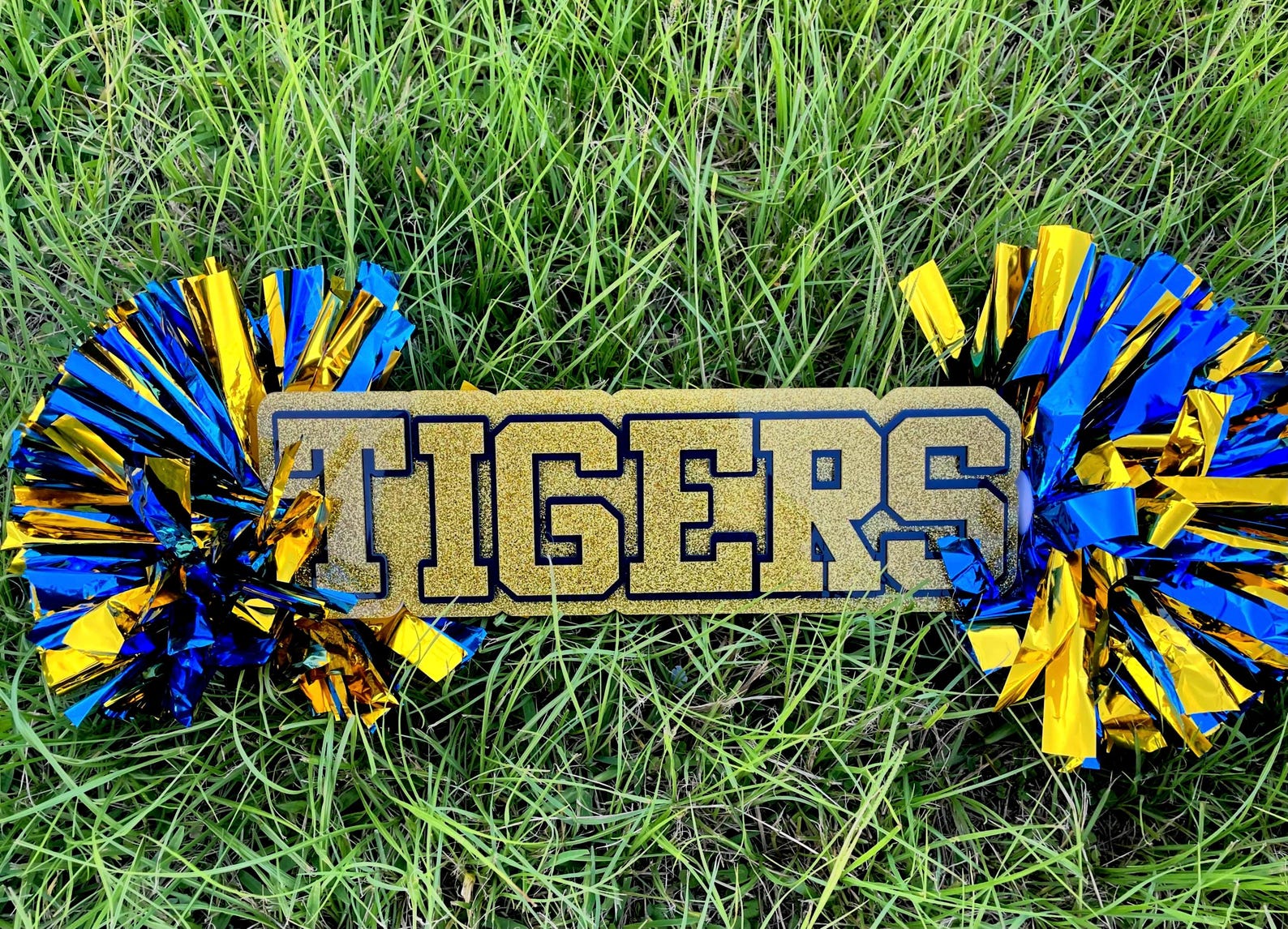 Personalized Cheer Sign: Custom Acrylic Cheer Stick With Pom Poms - Etsy
