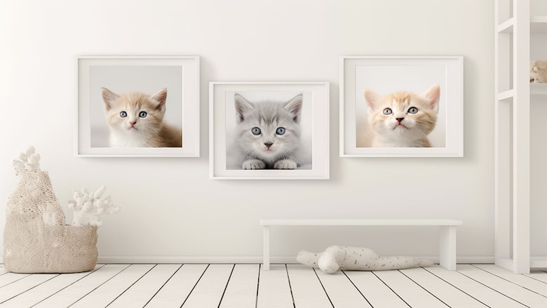 3 Virtual Backgrounds Remote Meeting Background Office - Etsy UK