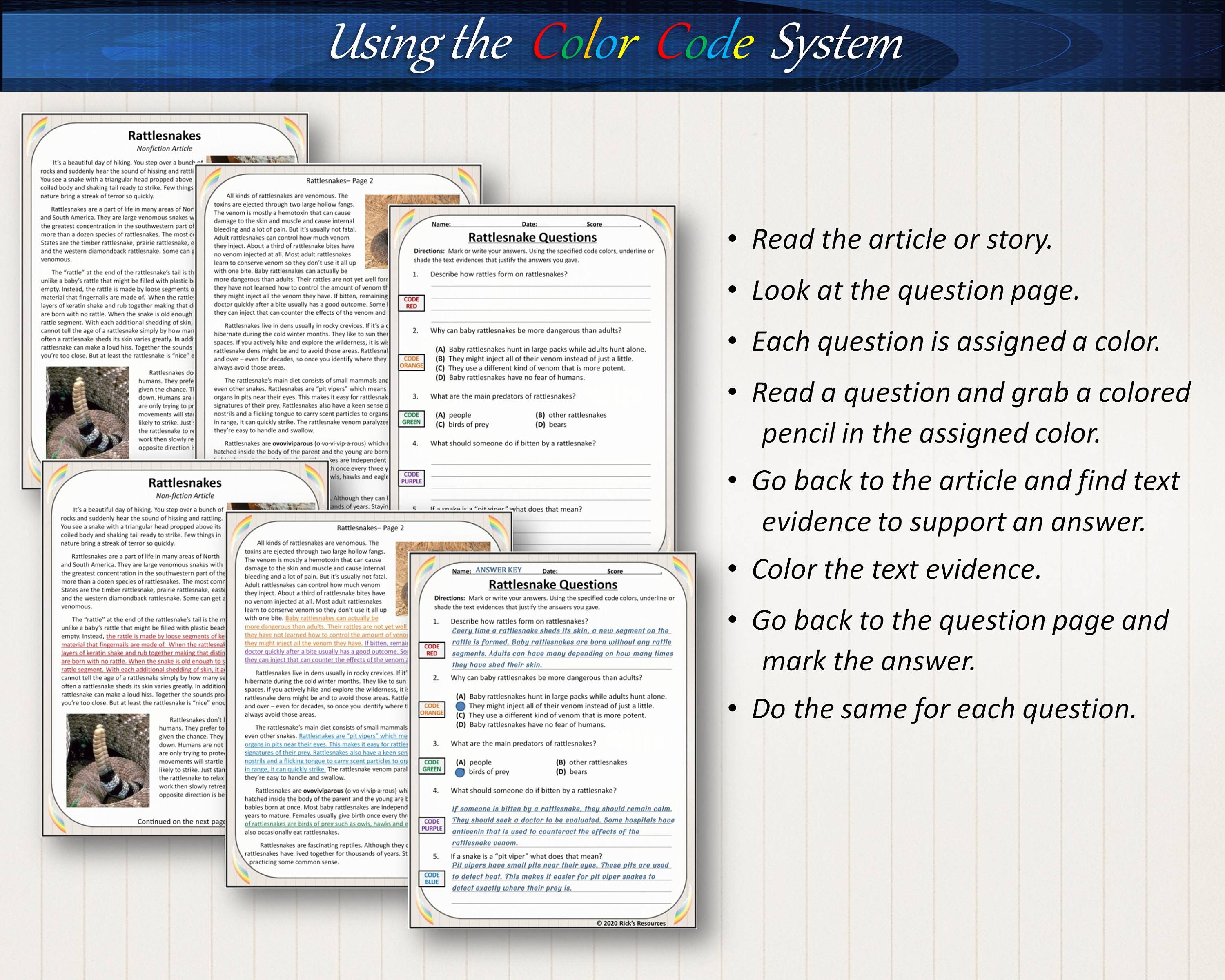 Reading Comprehension Coloring Text Evidence 7th Grade - Etsy