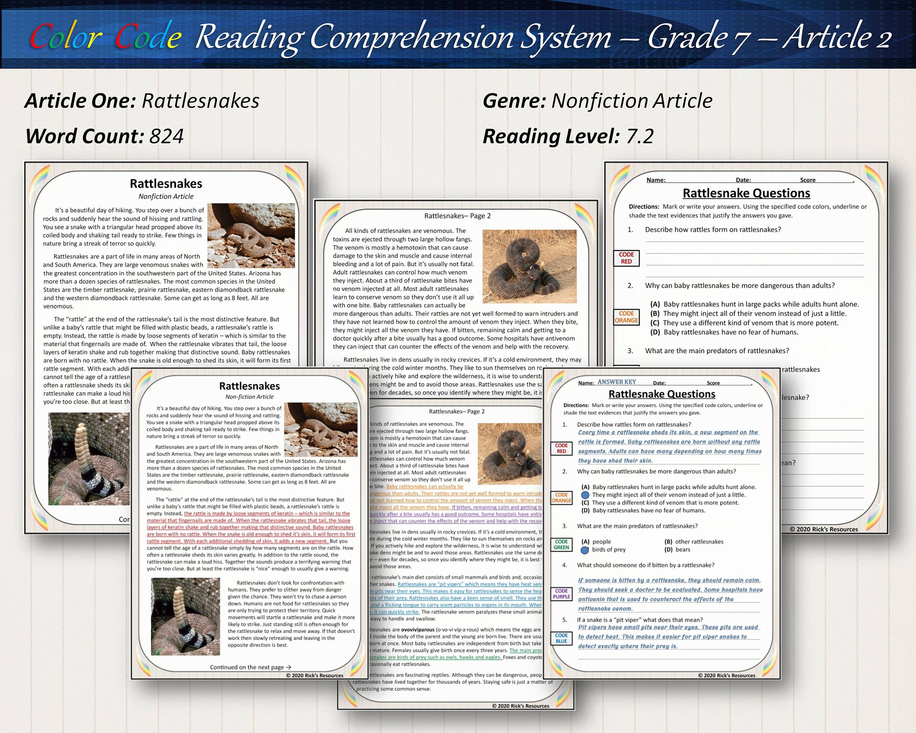 Reading Comprehension Coloring Text Evidence 7th Grade - Etsy