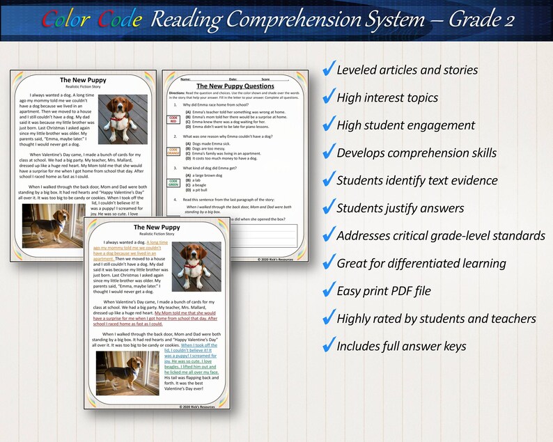 Reading Comprehension Coloring Text Evidence - 2nd Grade - Etsy