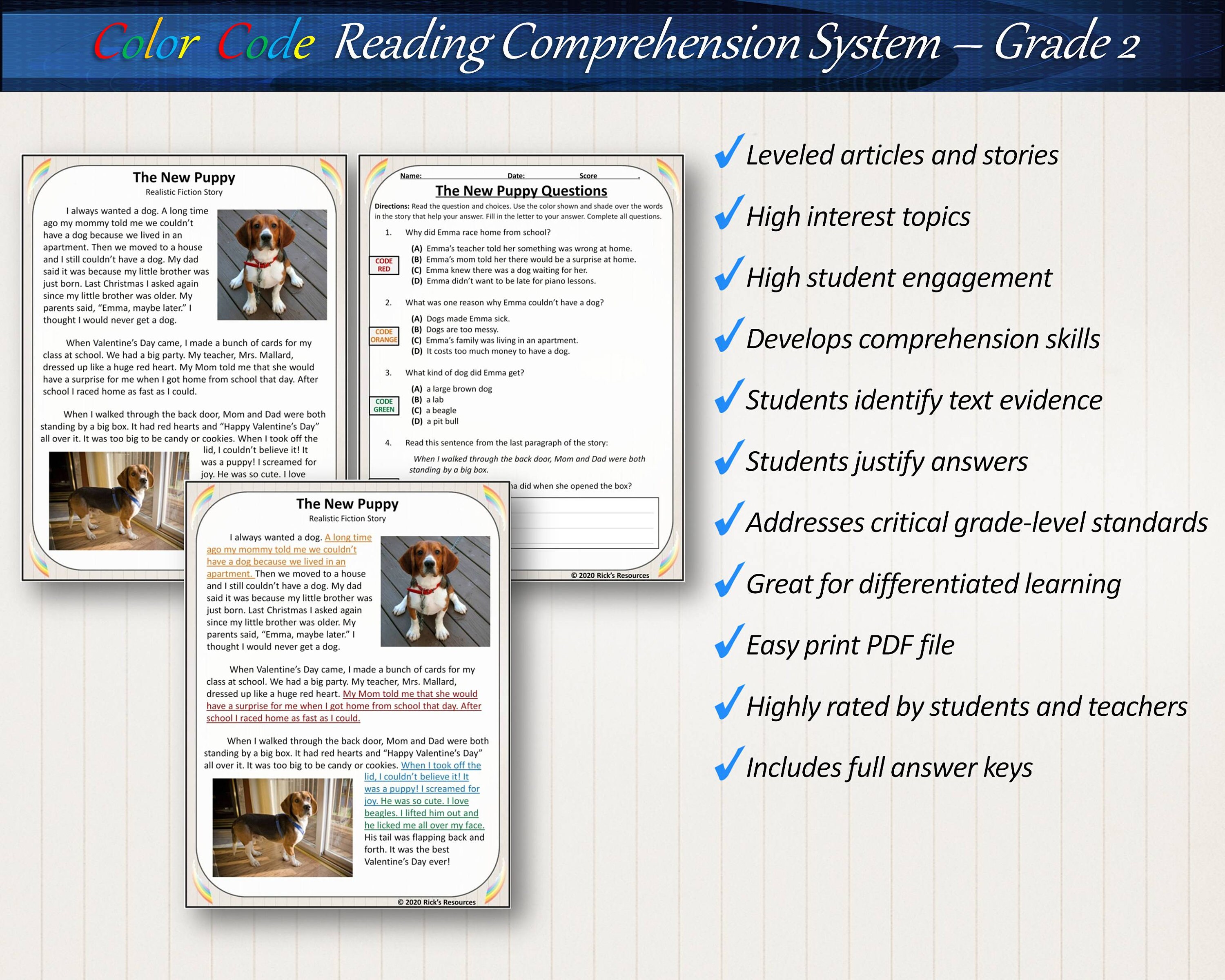Reading Comprehension Coloring Text Evidence - 2nd Grade - Etsy