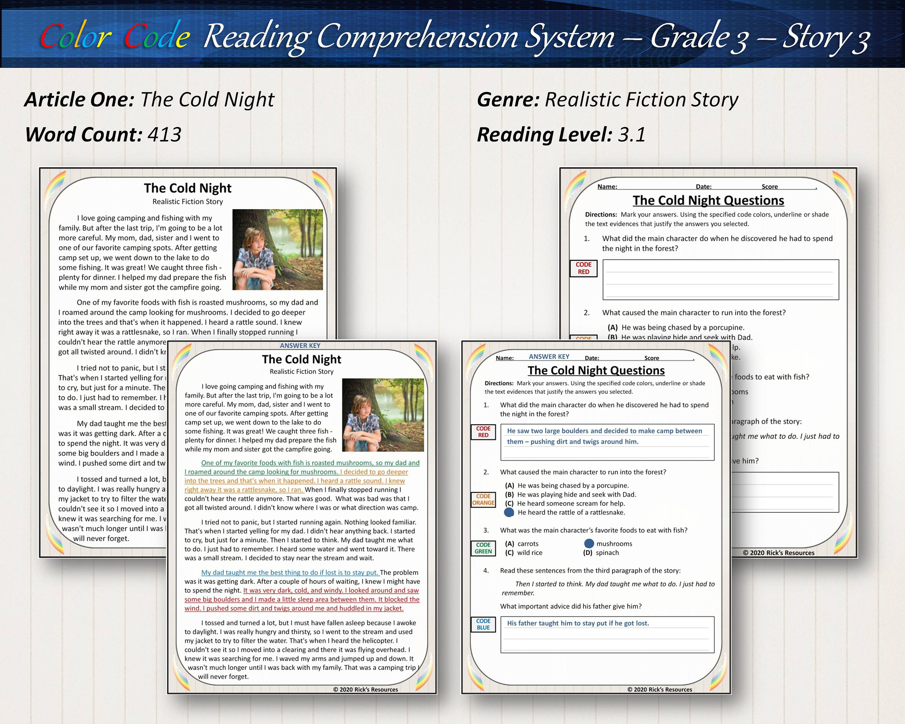 Reading Comprehension Coloring Text Evidence - 3rd Grade - Etsy
