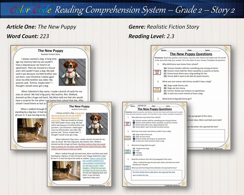 Reading Comprehension Coloring Text Evidence - 2nd Grade - Etsy