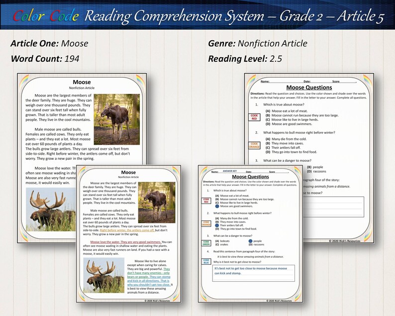 Reading Comprehension Coloring Text Evidence - 2nd Grade - Etsy