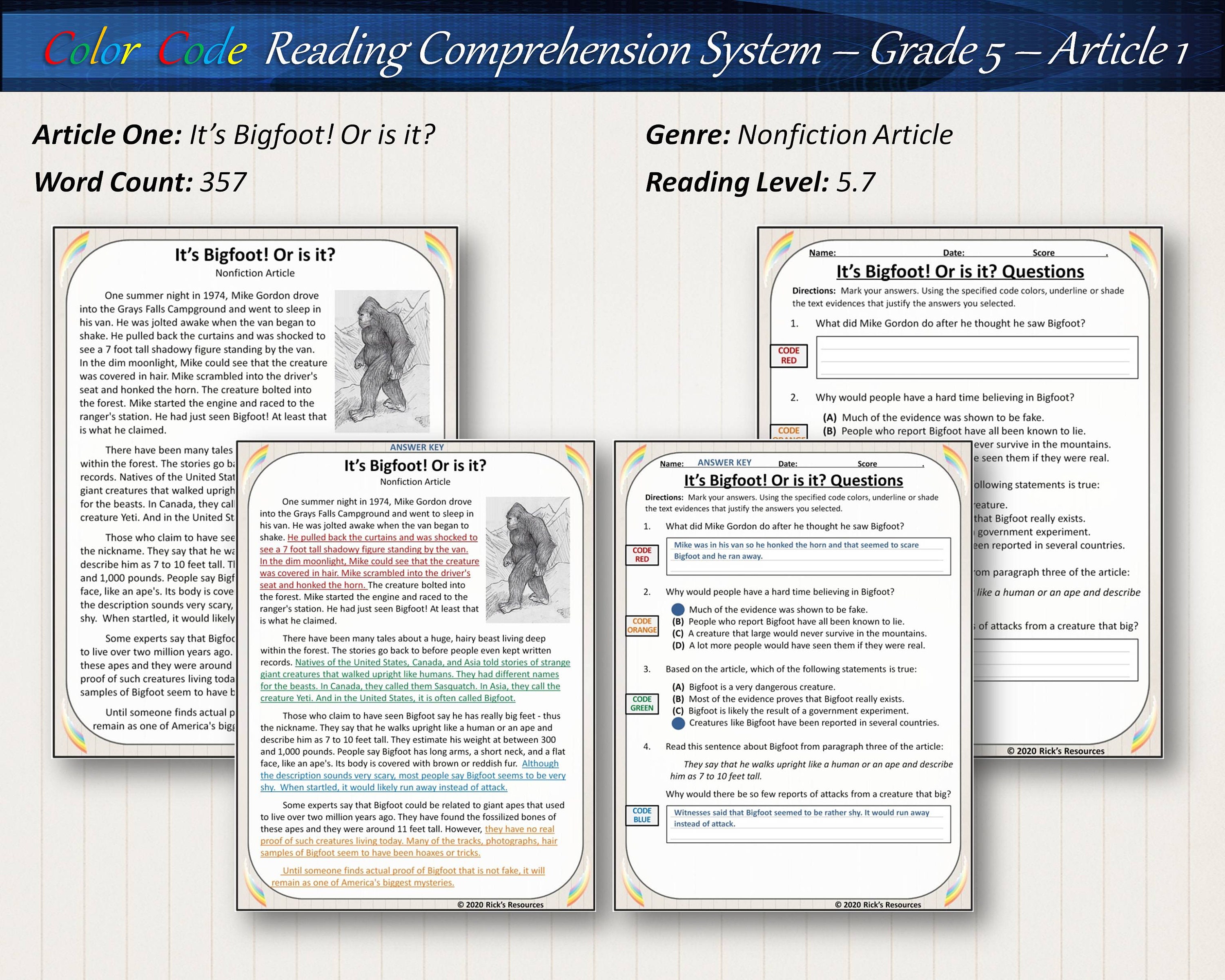 Reading Comprehension Coloring Text Evidence 5th Grade - Etsy