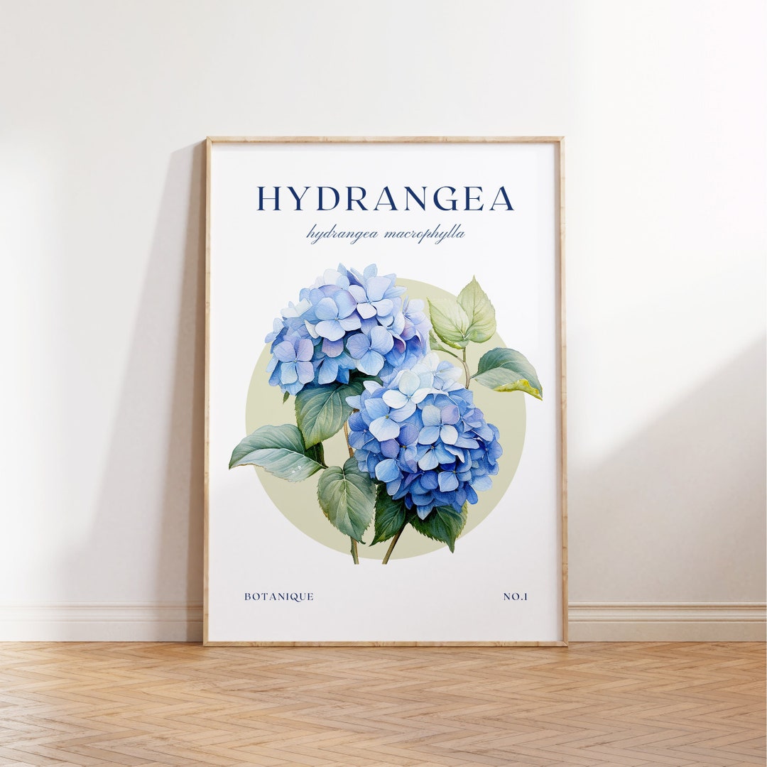 Hydrangea Print | Hydrangea Poster | Floral Gift | Red | Home Decor ...